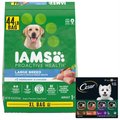 IAMS WET DOG FOOD (Free Shipping) | Chewy