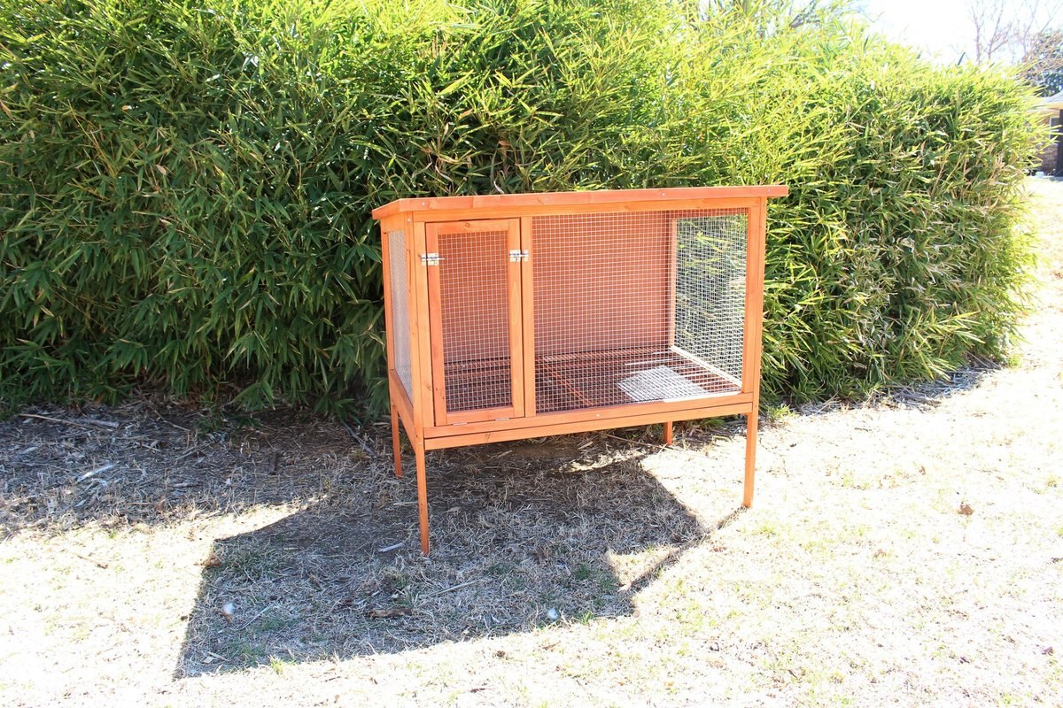 ZYLINA Rabbit Hutch - Chewy.com