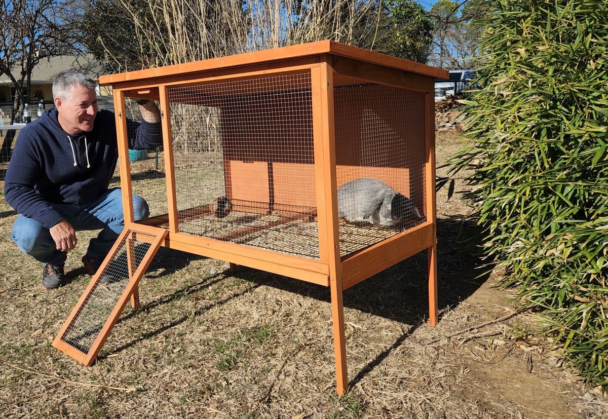 ZYLINA Rabbit Hutch - Chewy.com