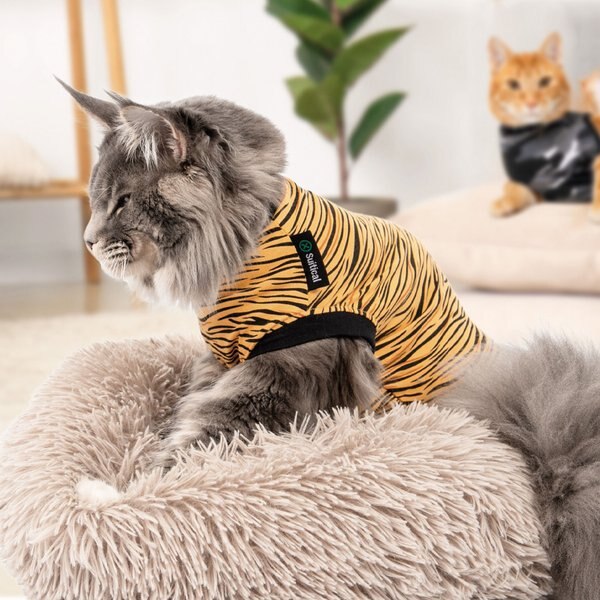 SUITICAL Recovery Suit Cat Apparel, Tiger Print, Small - Chewy.com