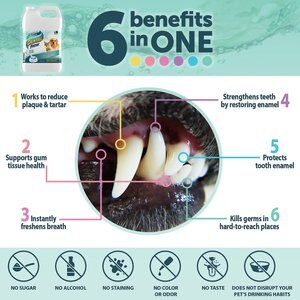 10 Best Water Additives for Cats 2025: According to Reviews | Chewy