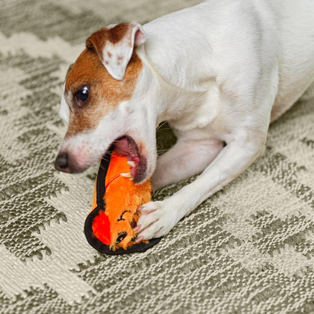 OUTWARD HOUND Invincibles Minis Squeaky Stuffing-Free Plush Dog Toy ...