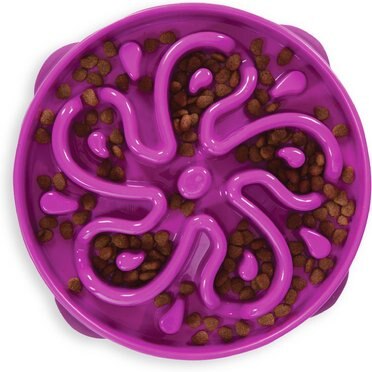 Add Once To Your Next Autoship - Free shipping | Chewy