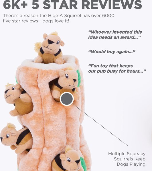OUTWARD HOUND Hide A Squirrel Squeaky Puzzle Plush Dog Toy, Large ...