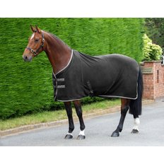 Horse Tack Buckles (Free Shipping) | Chewy