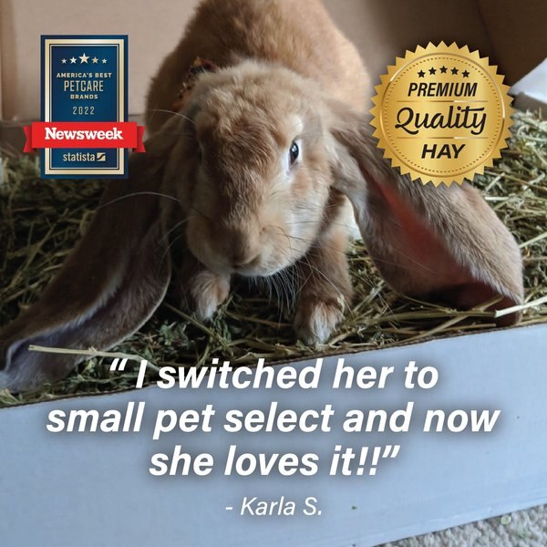 SMALL PET SELECT Alfalfa Hay Small Pet Food, 10-lb box - Chewy.com