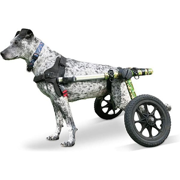 WALKIN PETS Dog Wheelchair for Medium Dogs, 50-69-lbs, Camo, Camo with ...