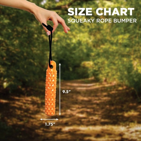 HOUND2O Rope Bumper Dog Toy, Orange - Chewy.com