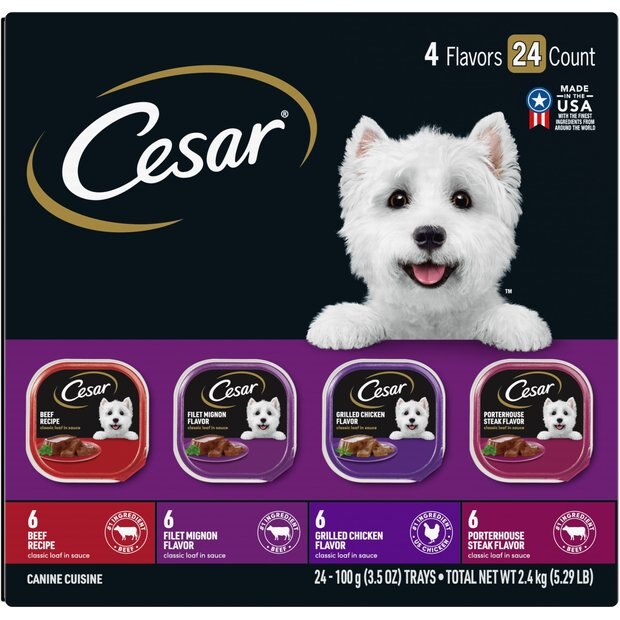 CESAR DOG FOOD (Free Shipping) | Chewy