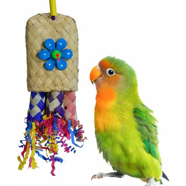 SUPER BIRD CREATIONS Pickin' Pocket Bird Toy - Chewy.com