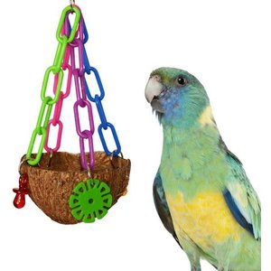 SUPER BIRD CREATIONS Coco Treat Cup Bird Toy - Chewy.com