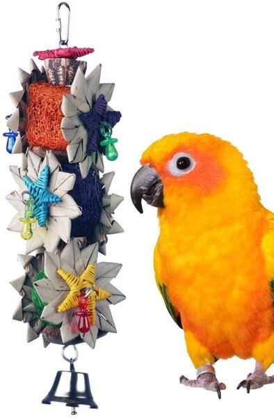 SUPER BIRD CREATIONS Palm Star Bird Toy - Chewy.com