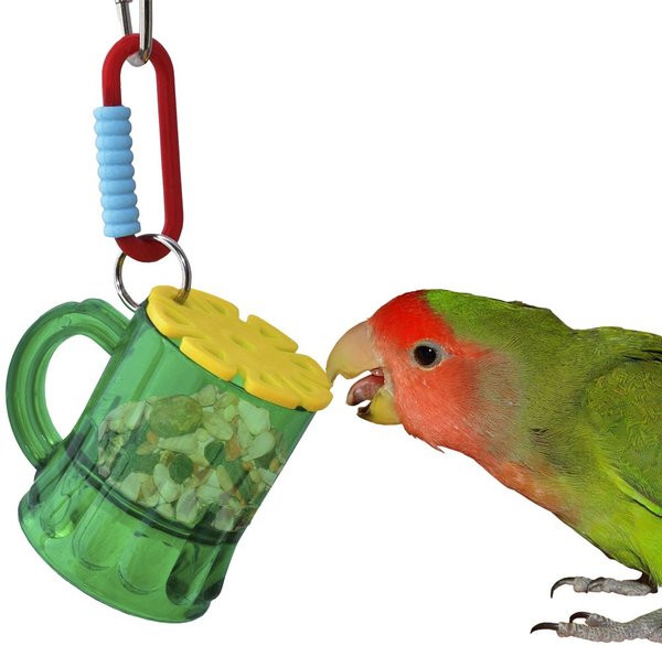 SUPER BIRD CREATIONS Mug Forager Bird Toy - Chewy.com