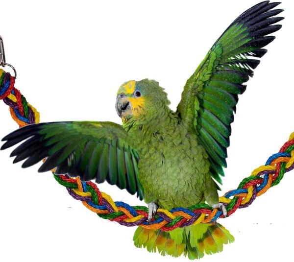SUPER BIRD CREATIONS Rainbow Rope Bridge Bird Toy - Chewy.com