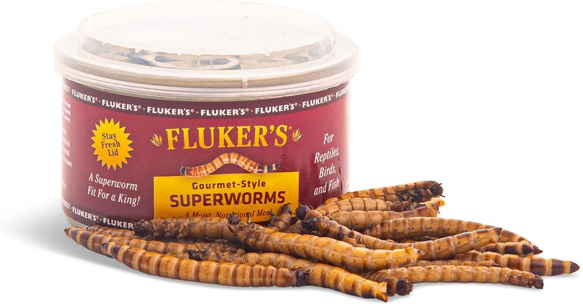 FLUKER'S Gourmet Canned Superworms Reptile Food, 1.2-oz bag - Chewy.com
