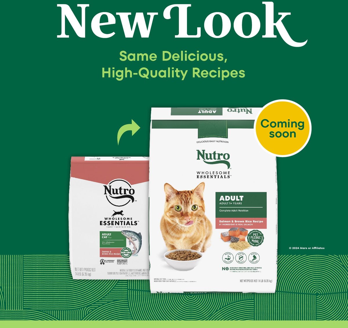 NUTRO Wholesome Essentials Adult Salmon & Brown Rice Recipe Dry Cat Food, 14-lb bag - Chewy.com