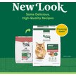 NUTRO Wholesome Essentials Adult Salmon & Brown Rice Recipe Dry Cat Food, 14-lb bag - Chewy.com