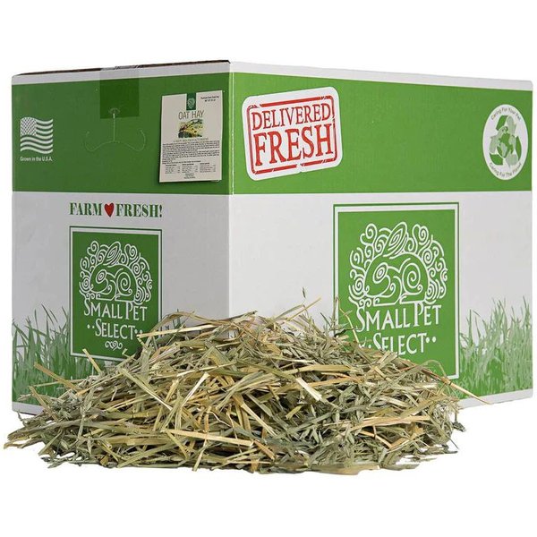 OXBOW Orchard Grass Hay Small Animal Food, 40-oz bag, bundle of 2 ...