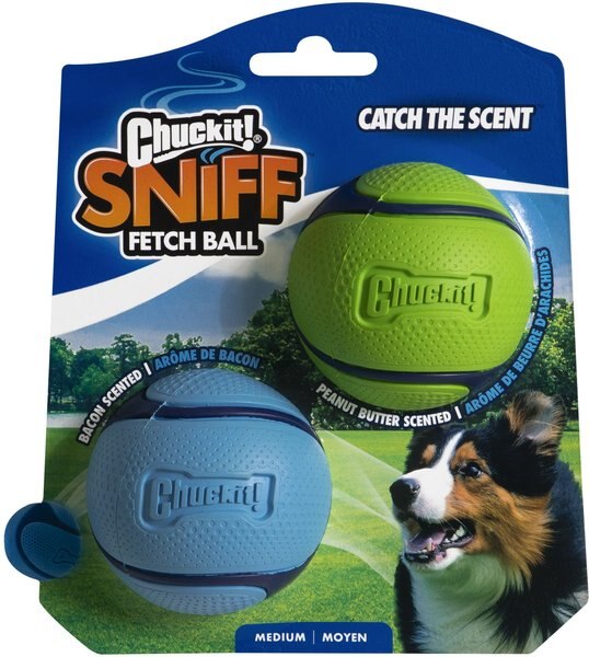 CHUCKIT! Sniff Fetch Balls Duo Dog Toy, Medium - Chewy.com