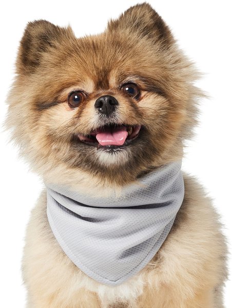 FRISCO Hot Tropics Cooling Pullover Dog Gaitor, Gray, X-Small/Small ...
