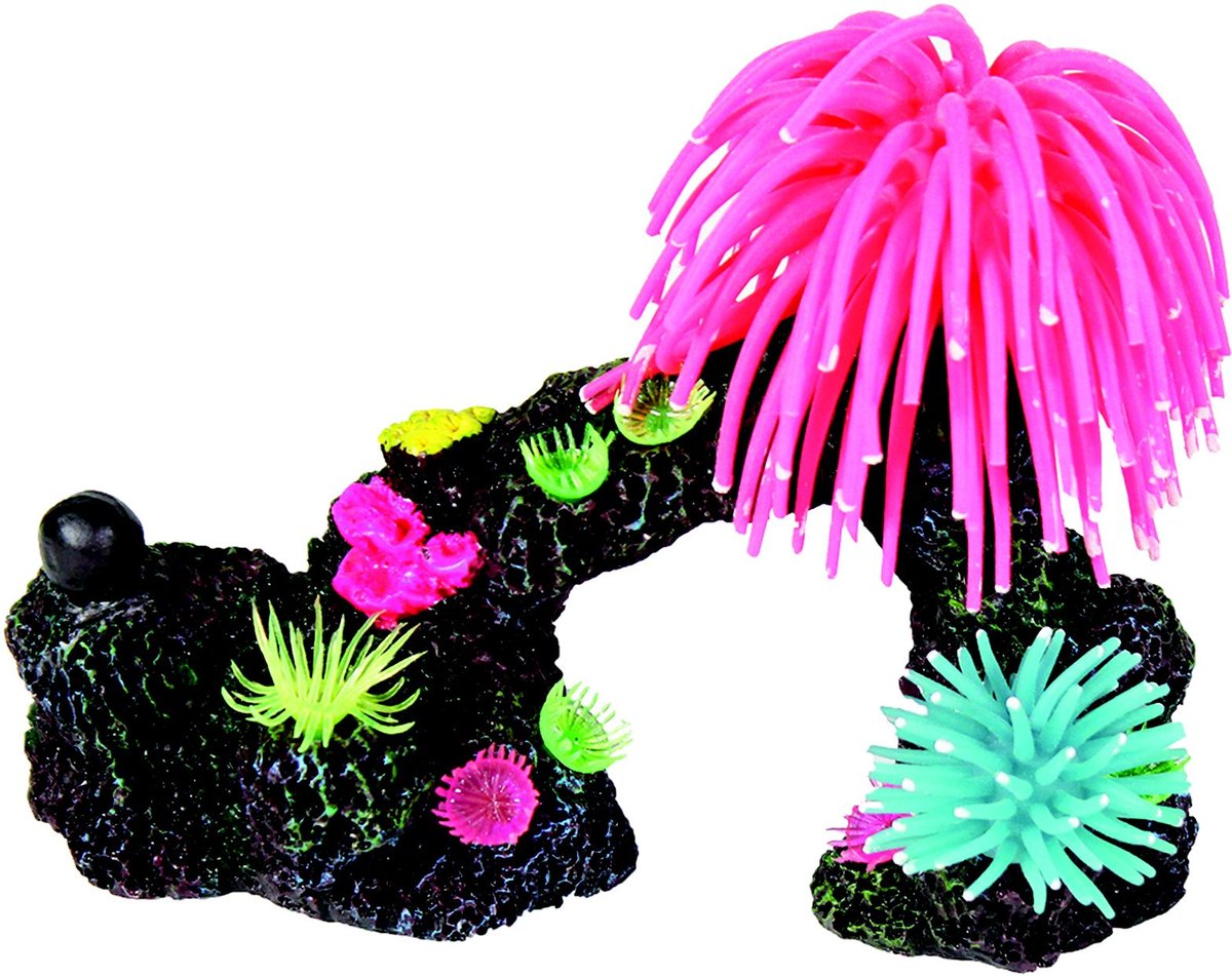 PENN-PLAX Coral Reef Aquarium Decoration Fish Ornament, Multicolor ...