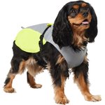 SAFETYPUP XD Reflective Dog Vest, Orange, Large - Chewy.com