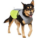 SAFETYPUP XD Reflective Dog Vest, Orange, Large - Chewy.com