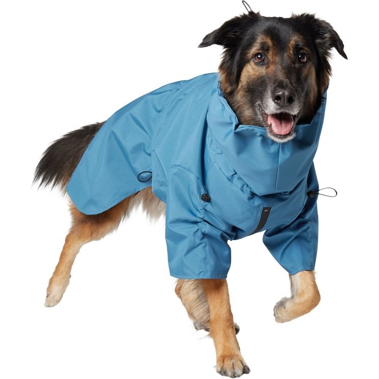 Frisco Apparel & Accessories for Dogs - Free shipping | Chewy