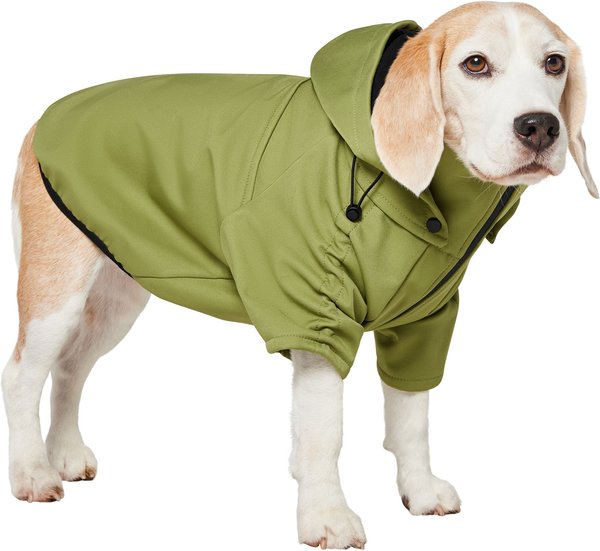 FRISCO Bonded Wind & Water Resistant Dog & Cat Coat With Removable Hood, Green, Medium - Chewy.com