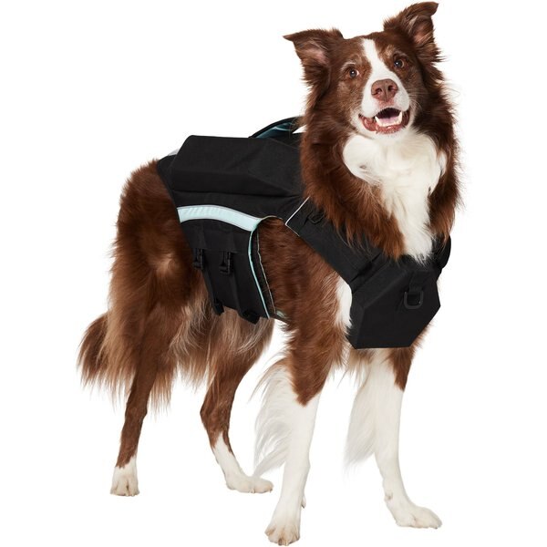 ZIPPYPAWS Adventure Dog Life Jacket, X-Large - Chewy.com