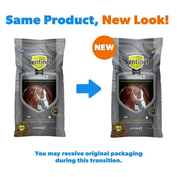 KENT / BLUE SEAL Sentinel LifeTime Horse Feed, 50-lb bag - Chewy.com