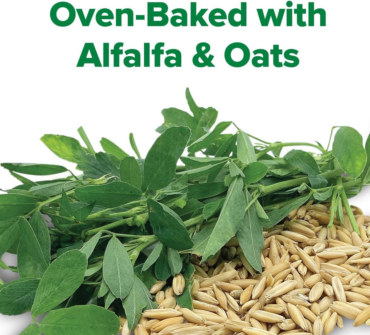 KENT / BLUE SEAL Alfalfa & Oats Rounders Horse Treats, 30-oz bag ...