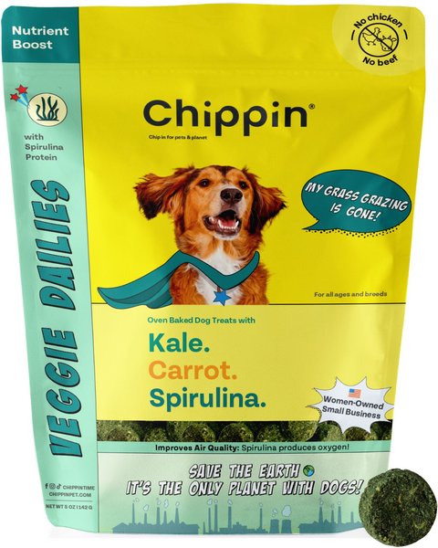 CHIPPIN Vegan Crunchy Veggie Dailies, Spirulina, Kale & Carrot Oven ...