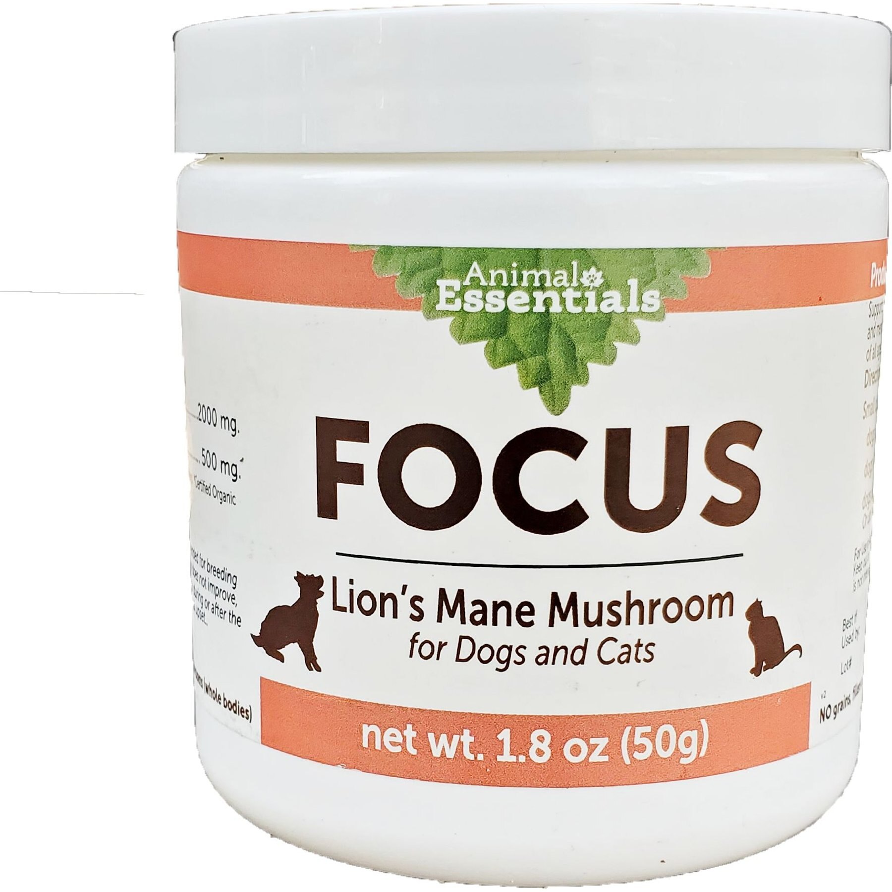 ANIMAL ESSENTIALS Focus Lions Mane Cat & Dog Vitamin Supplement, 80-gm ...