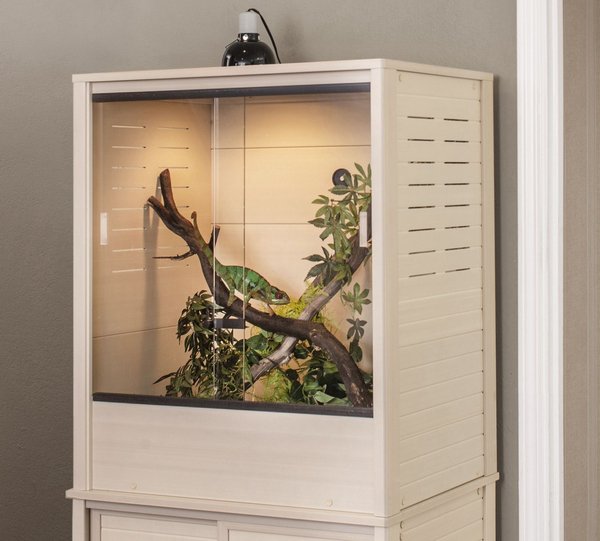 Temporarily Unavailable - NEW AGE PET Madagascar Vertical Chameleon ...