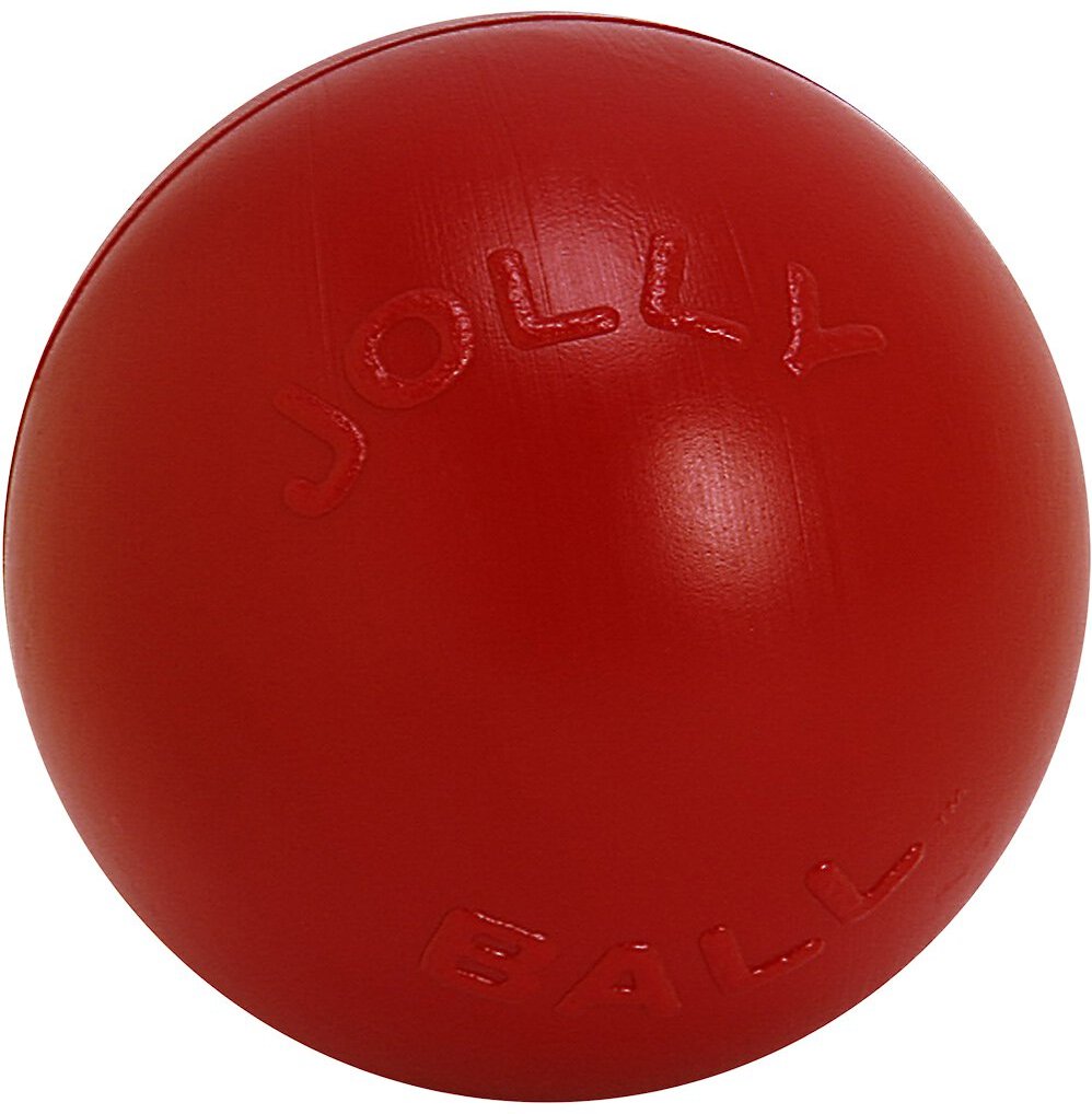JOLLY PETS 14" Push-n-Play Dog Toy, Red - Chewy.com