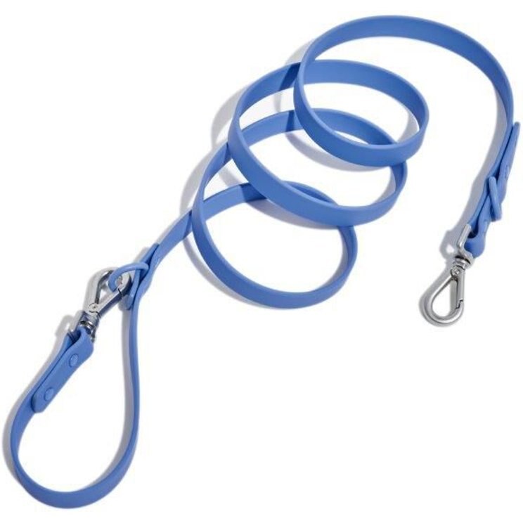 LARGE DOG LEASHES (Free Shipping) | Chewy