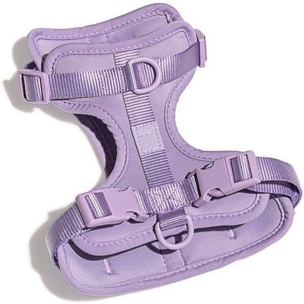 PETSAFE Easy Walk Dog Harness, Black/Silver, Small - Chewy.com