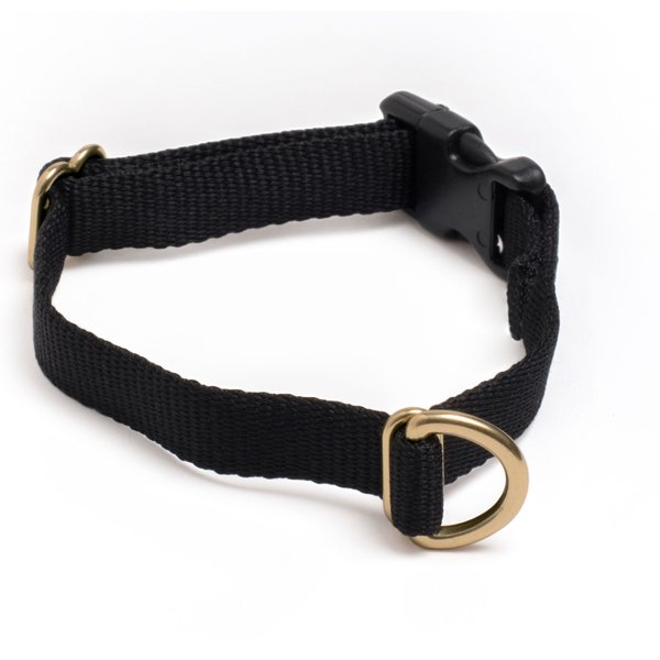 Out of Stock - SCOTCH & CO The Lola Handcrafted Standard Dog Collar ...