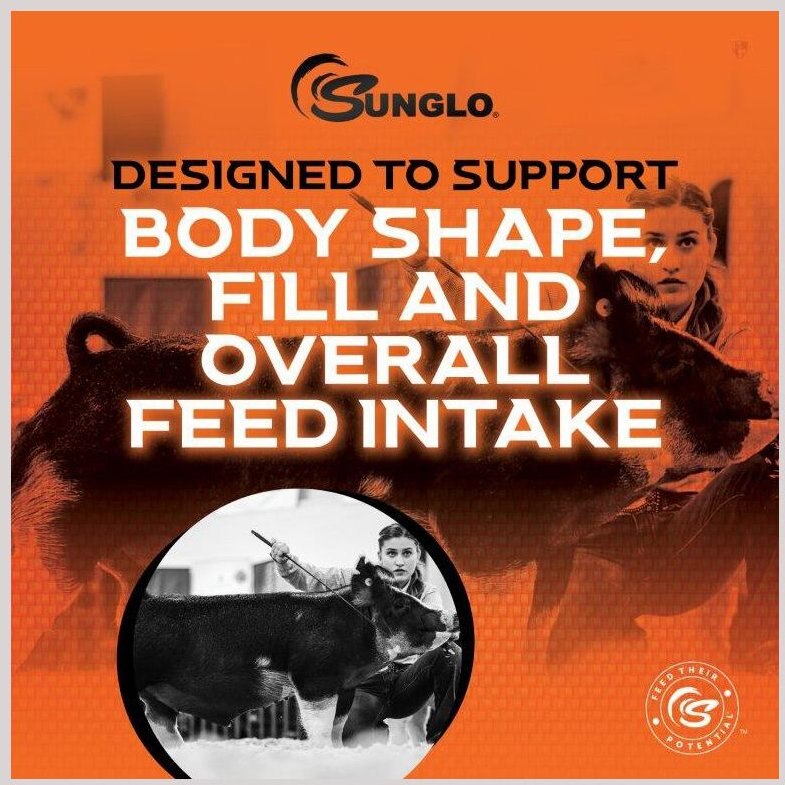 SUNGLO S'More Fill Show Animal Swine, Sheep, Goat & Cattle Supplement ...