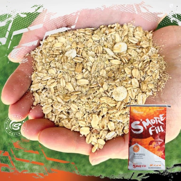 SUNGLO S'More Fill Show Animal Swine, Sheep, Goat & Cattle Supplement ...