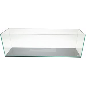 10 Best Glass Aquariums 2025: According to Reviews | Chewy