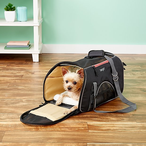 CAT CARRIERS WITH WHEELS (Free Shipping) | Chewy