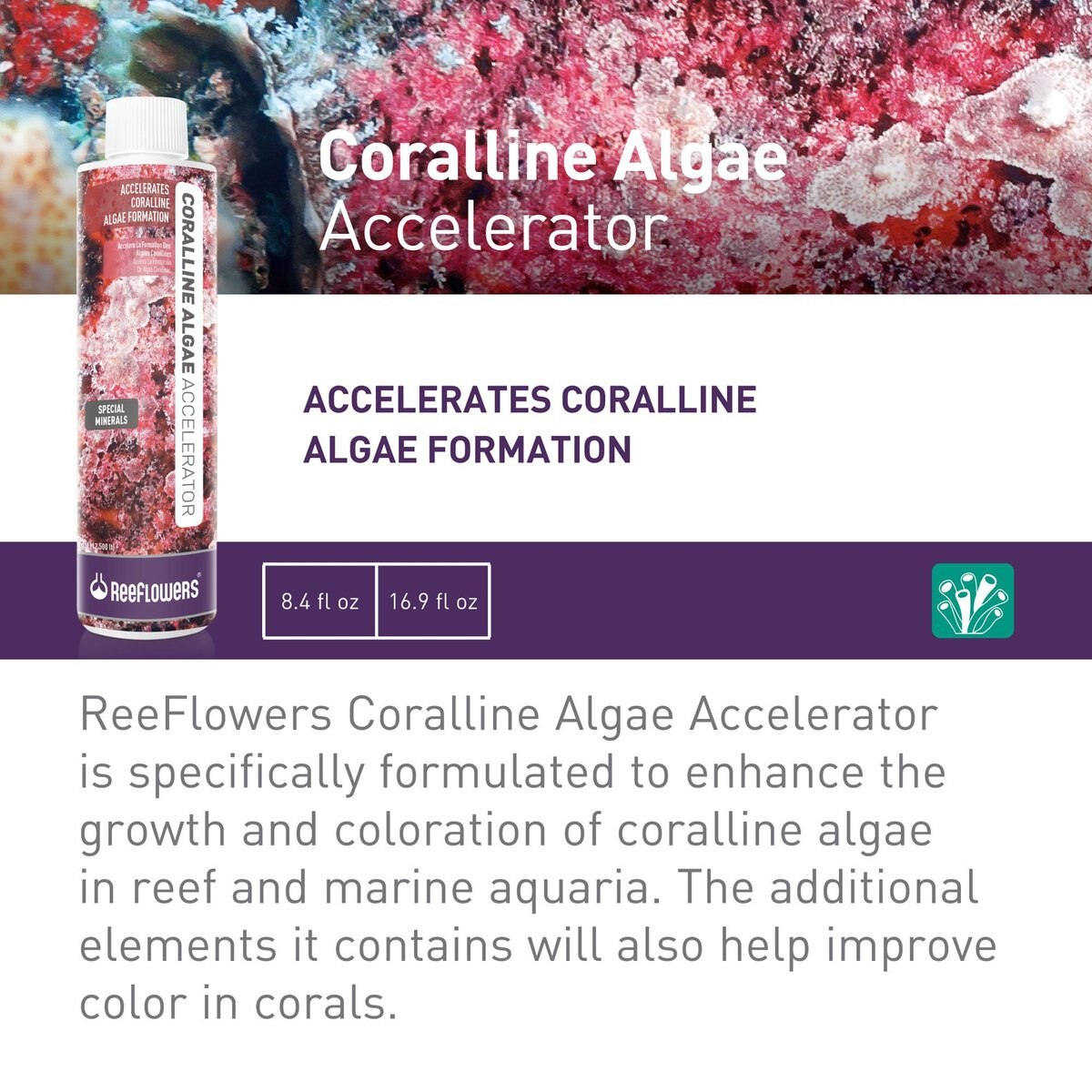 REEFLOWERS Coralline Algae Accelerator Fish Aquarium Water Conditioner ...