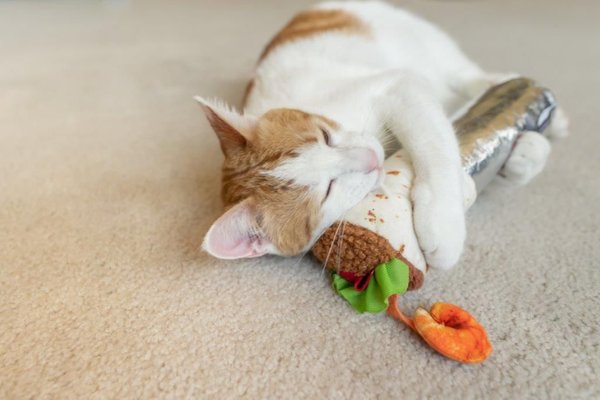 P.L.A.Y. PET LIFESTYLE AND YOU Feline Frenzy Shrimp Purrito Plush ...