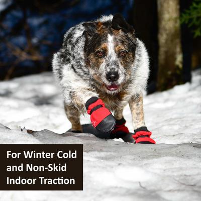 MUTTLUKS Hott Doggers Dog Boot, 4 Boots, Black, Large - Chewy.com