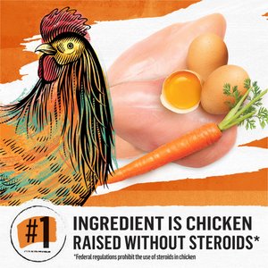 10 Best Grain-Free Dry Cat Foods 2024: According to Reviews | Chewy