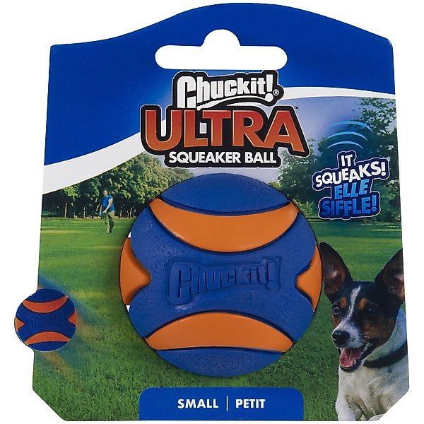CHUCKIT! Ultra Fetch Stick Dog Toy - Chewy.com