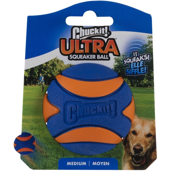 CHUCKIT! Ultra Fetch Stick Dog Toy - Chewy.com