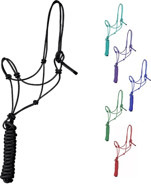 MAJESTIC ALLY Horse 1/4-in Rope 4 knot Stiff Polyster Training Halter with lead Horse Halter ...
